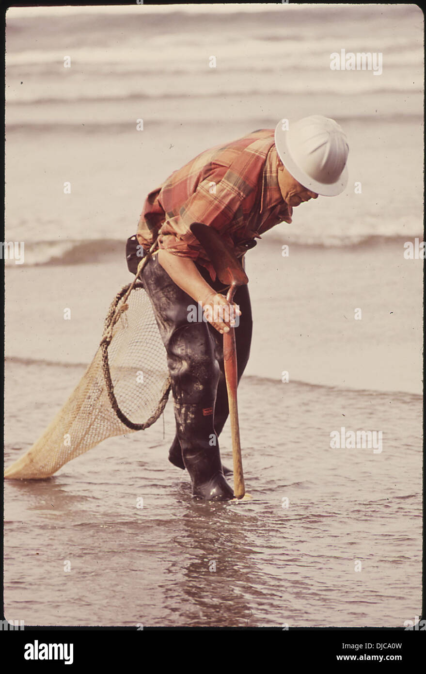 Clam digging washington hi-res stock photography and images - Alamy
