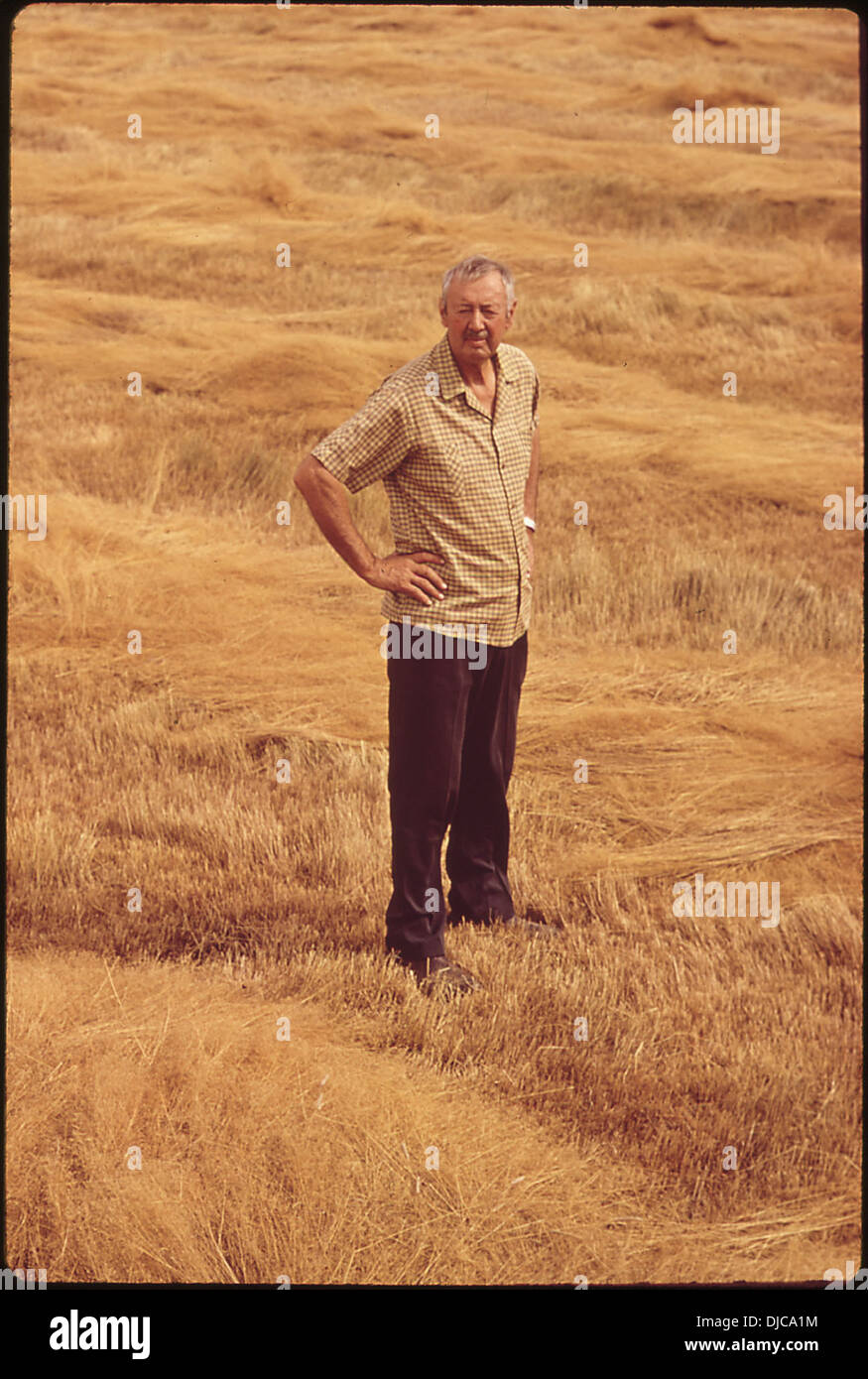 Barney McPhillips served as the Chairman of the Oregon State ...