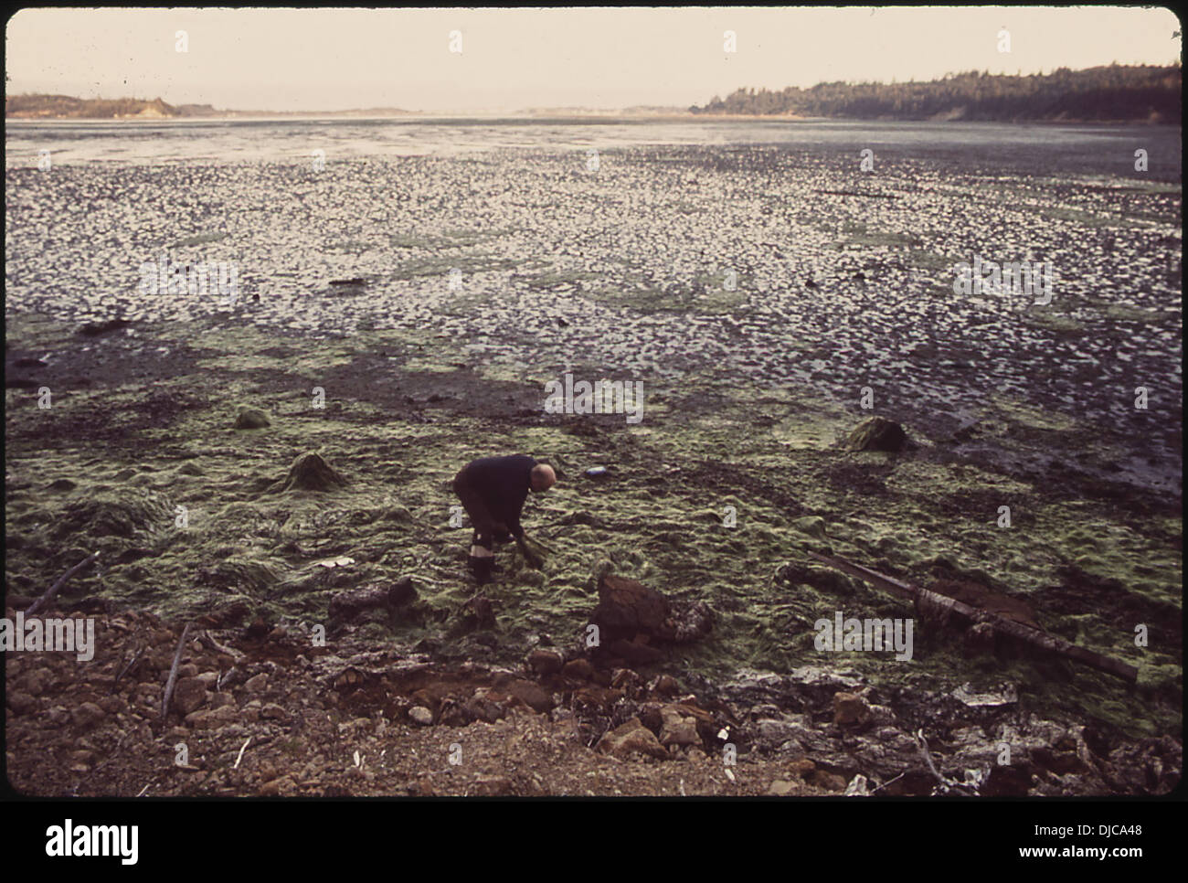 Bill wick hi-res stock photography and images - Alamy