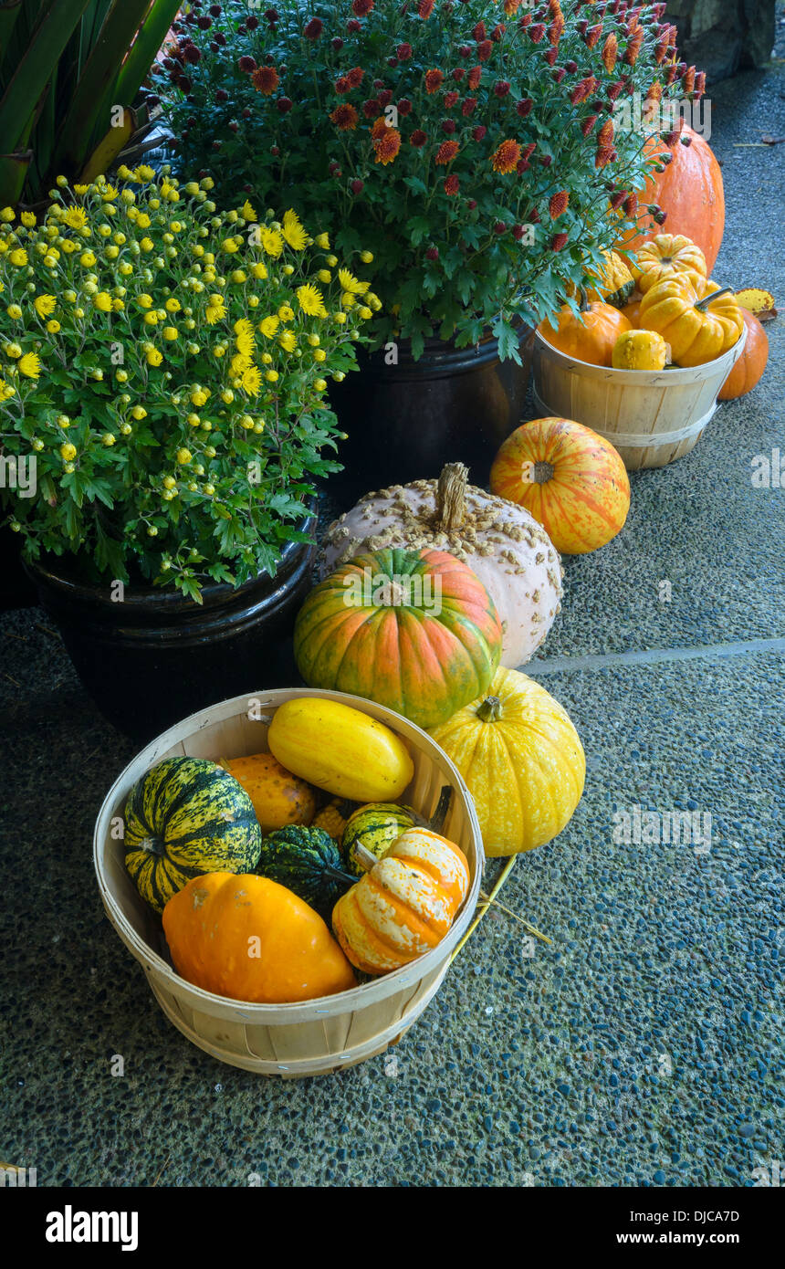 Fall harvest display, Butchart Gardens Stock Photo - Alamy