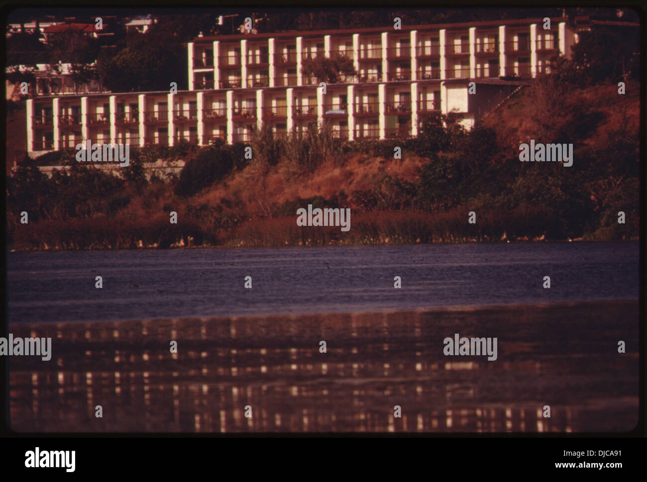 Buena Vista Lagoon is shown suffering from septic tank seepage and ...