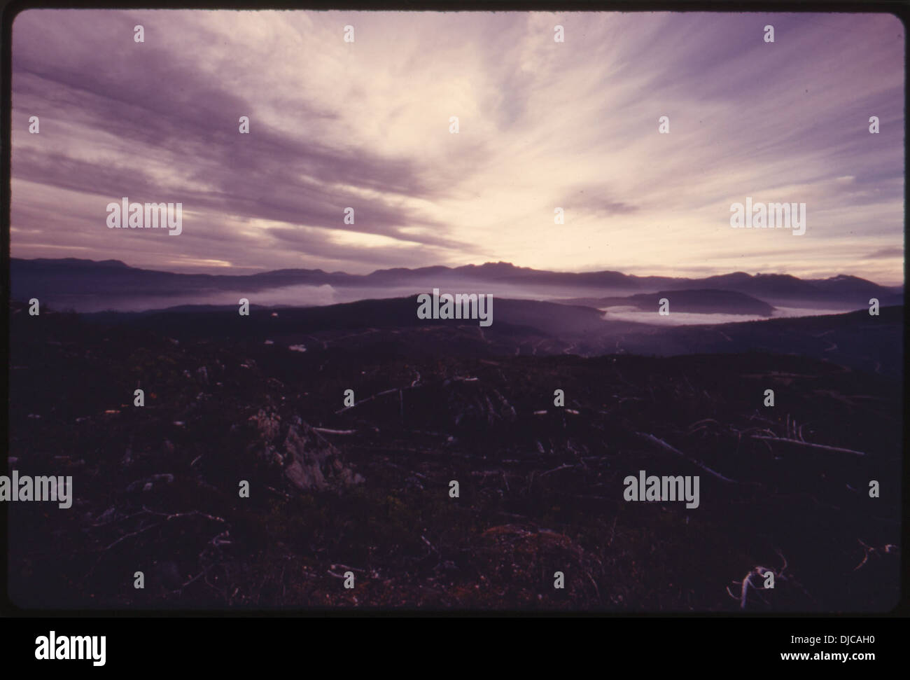 Timberland workers hi-res stock photography and images - Alamy