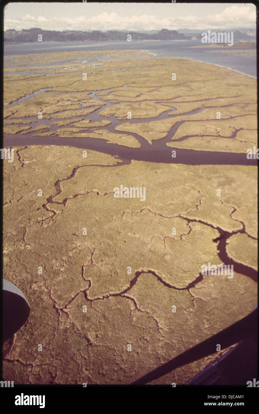 The Columbia River Estuary is a vital ecosystem located where the ...