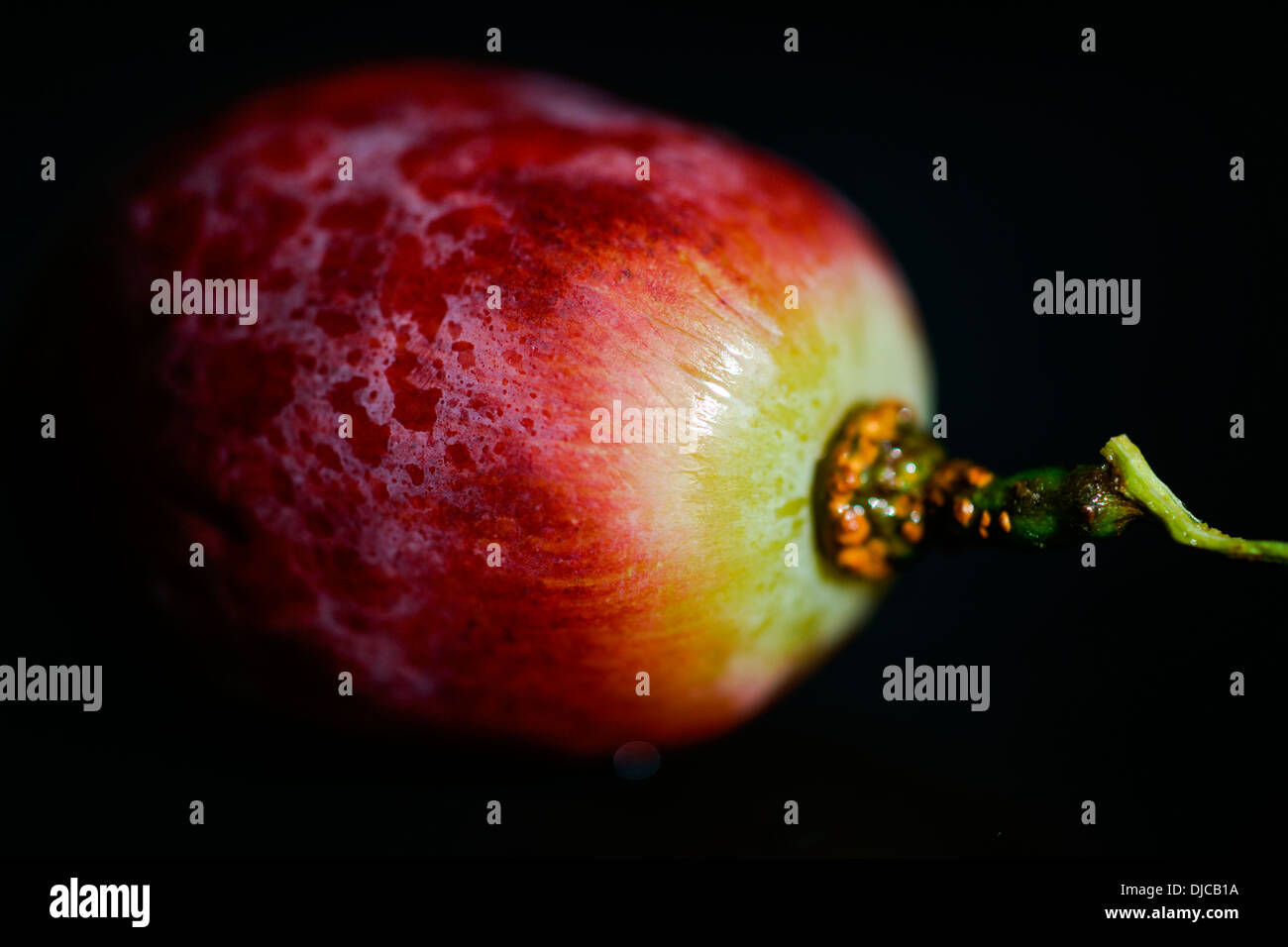 Grape shot hi-res stock photography and images - Alamy
