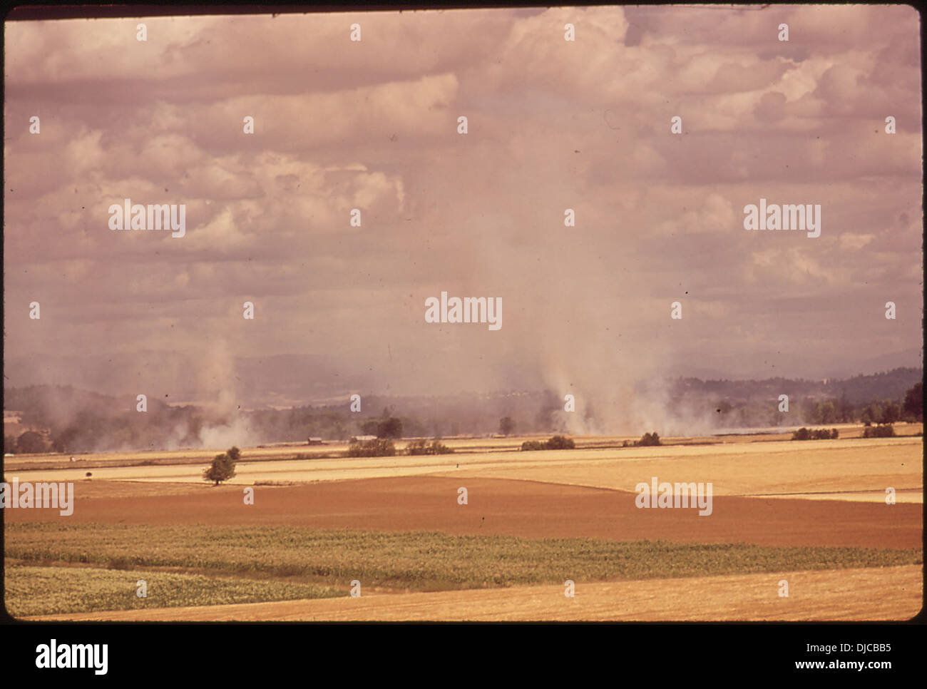 Grass-seed stubble is burned in the Willamette Valley, a common ...