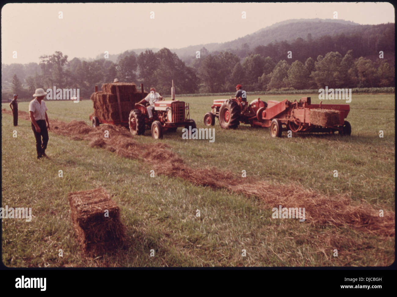 White pith helmet hi-res stock photography and images - Alamy