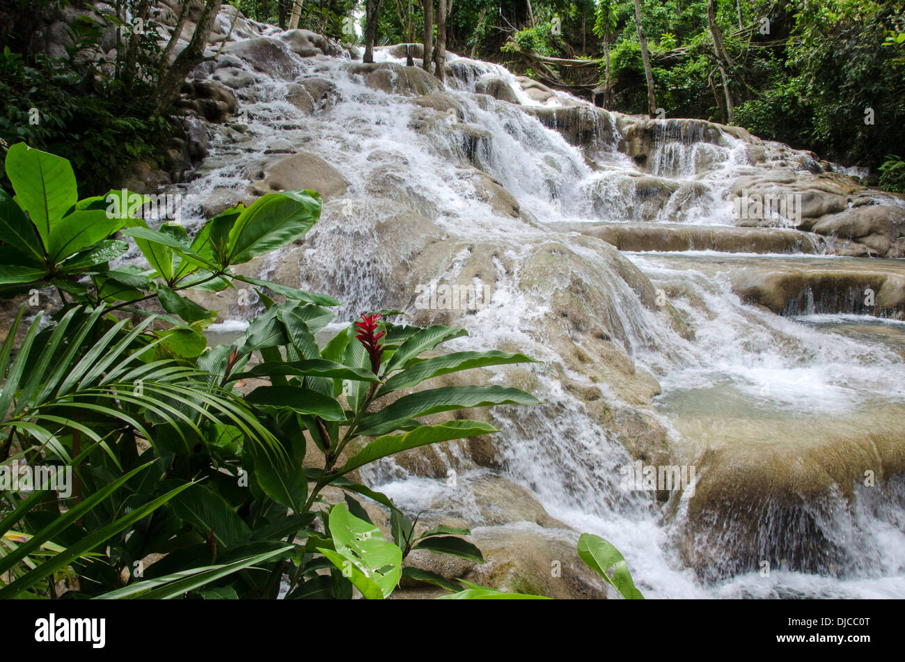 Dunn's River Falls; Ocho Rios, Jamaica Stock Photo - Alamy