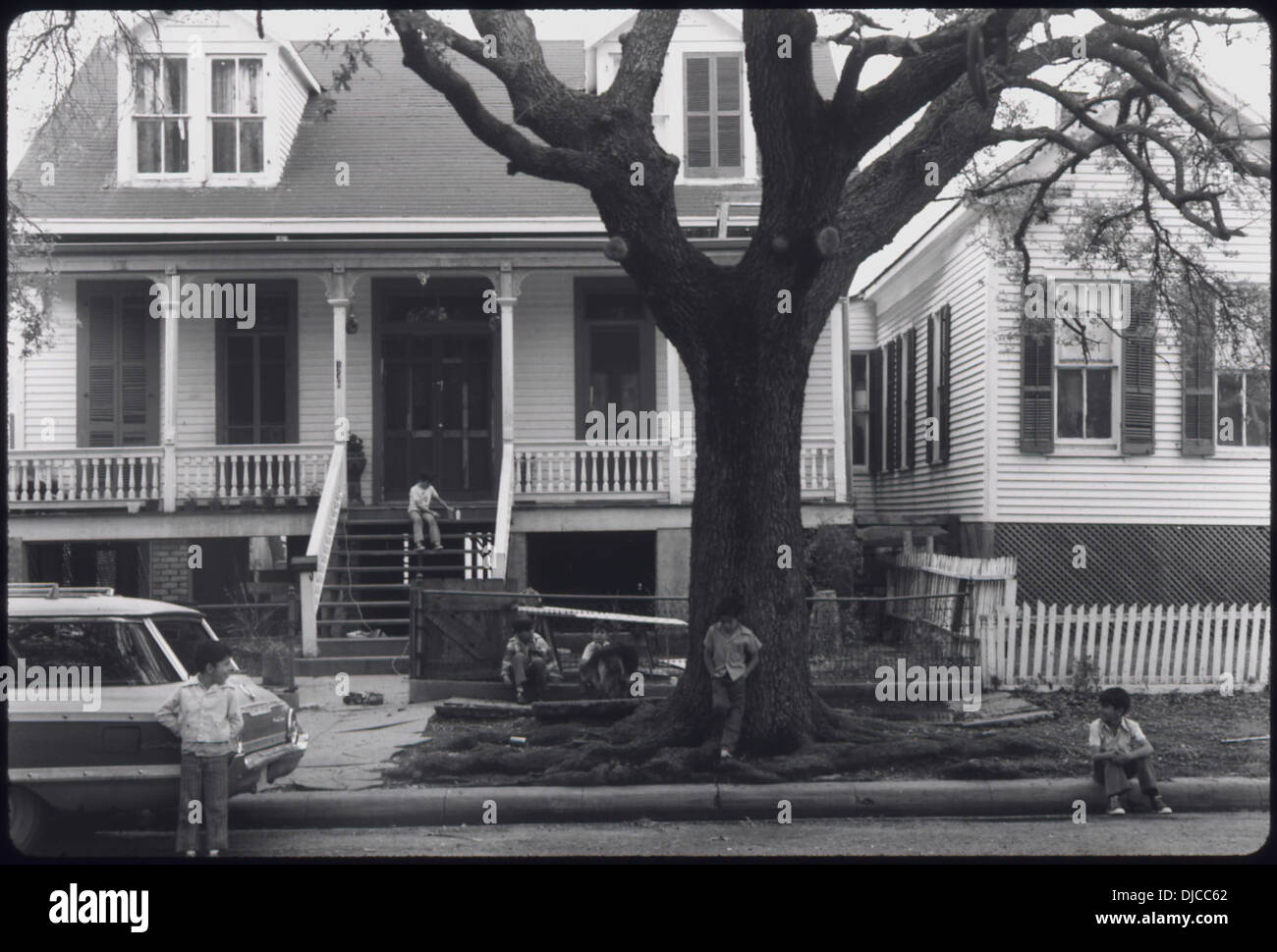 HOUSES AND TREES IN THE FIFTH WARD OF HOUSTON, TEXAS. THIS IS ONE OF A ...