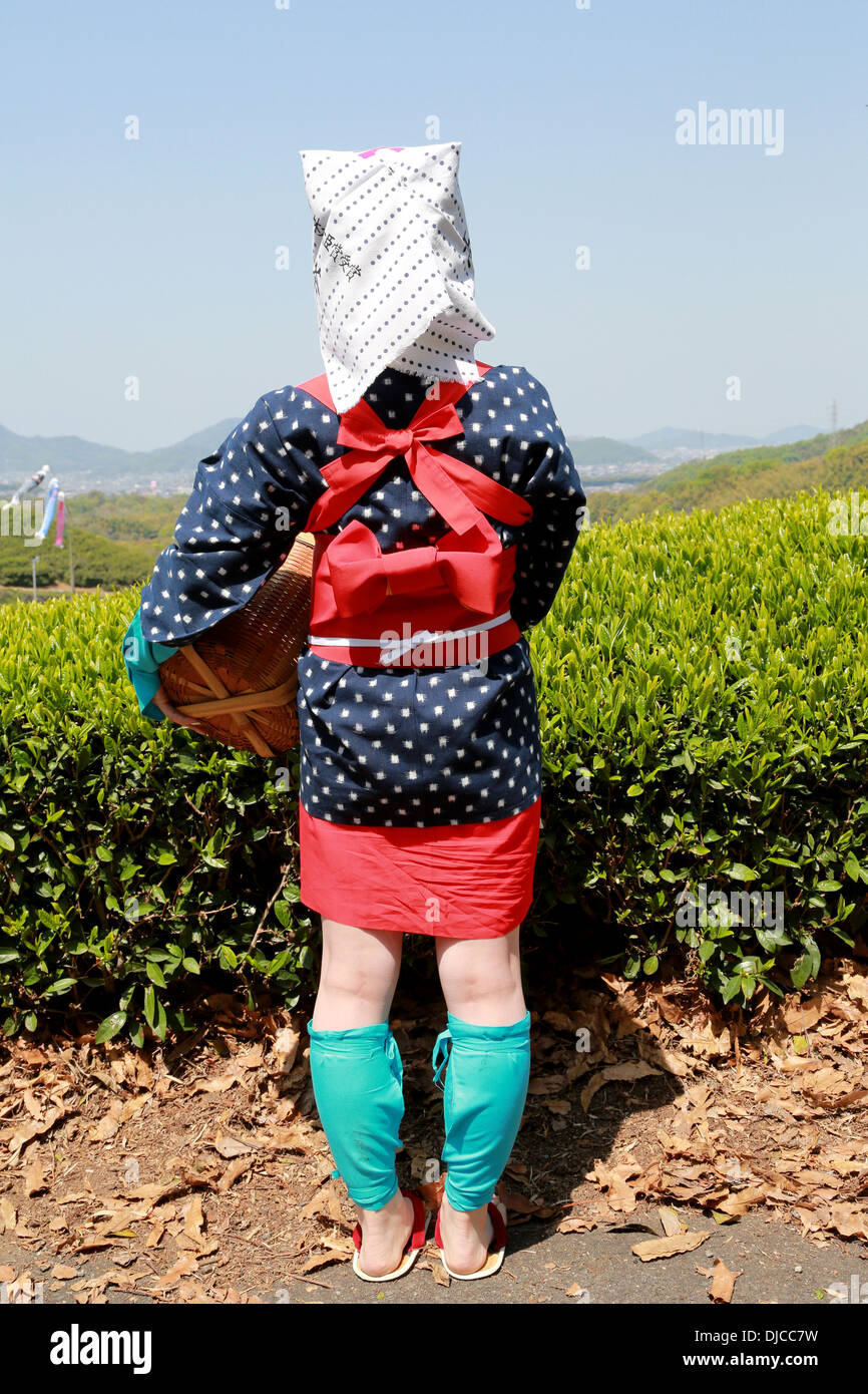 Young japanese tea picker with traditional clothing kimono, back view ...