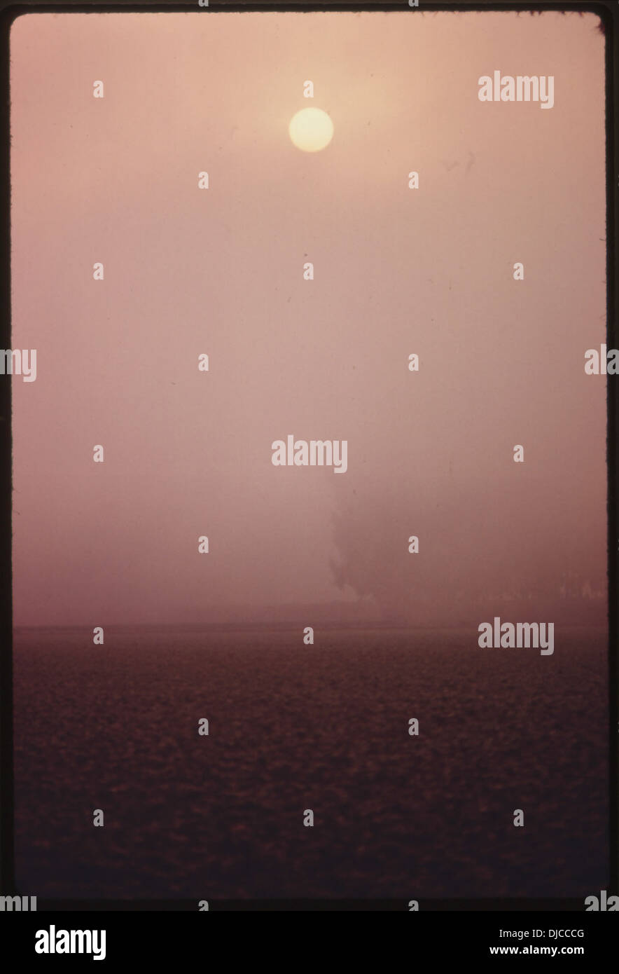 Morning fog clearing on oxnard plain hi-res stock photography and ...