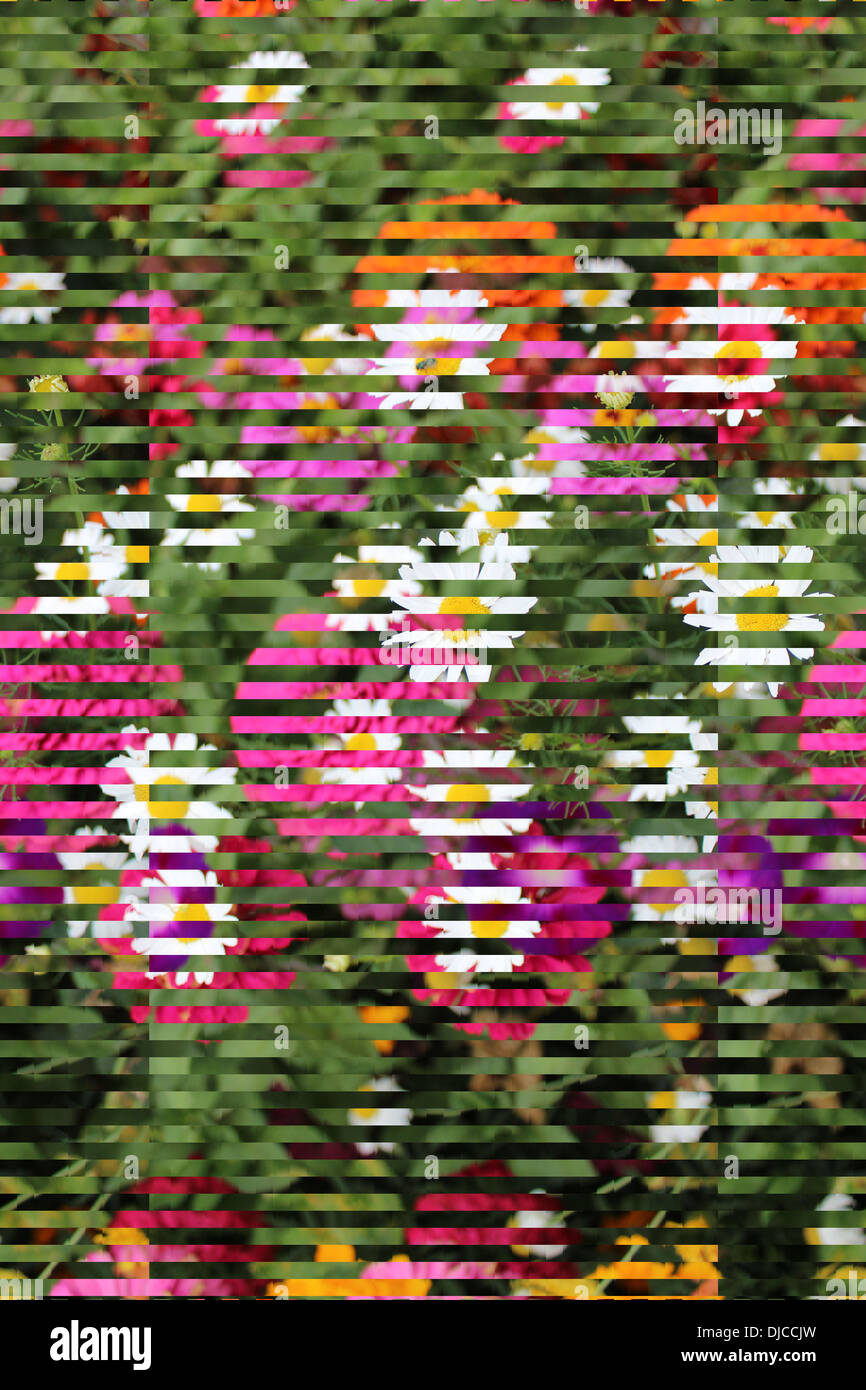 image of a background from strips of different colors Stock Photo - Alamy