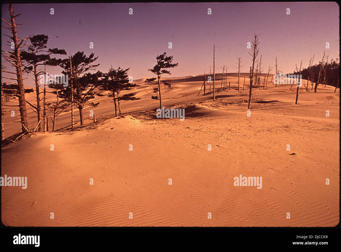 Wind driven processes hi-res stock photography and images - Alamy