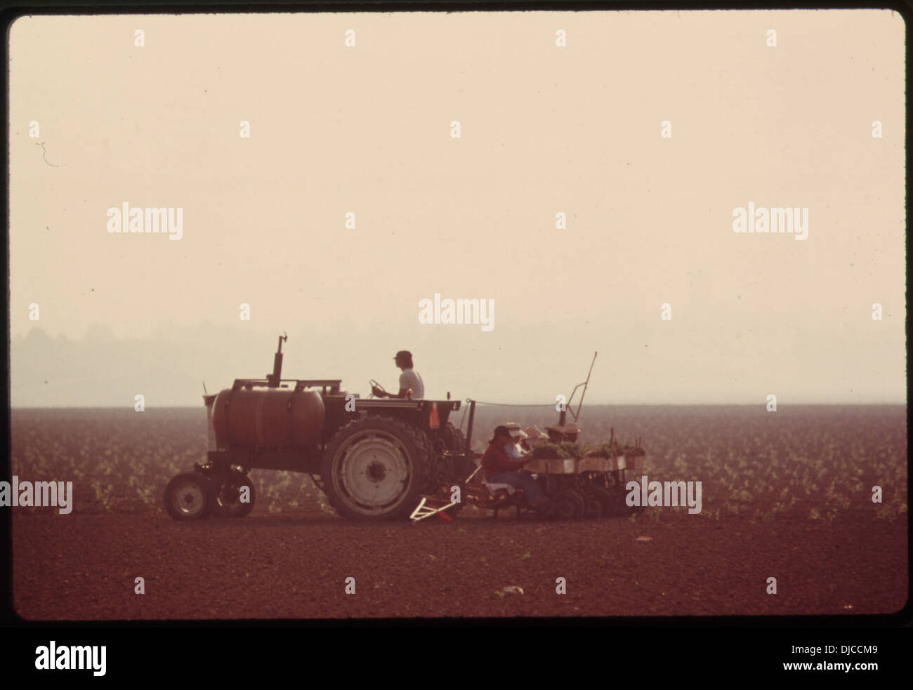 Planting a crop on oxnard plain hi-res stock photography and images - Alamy