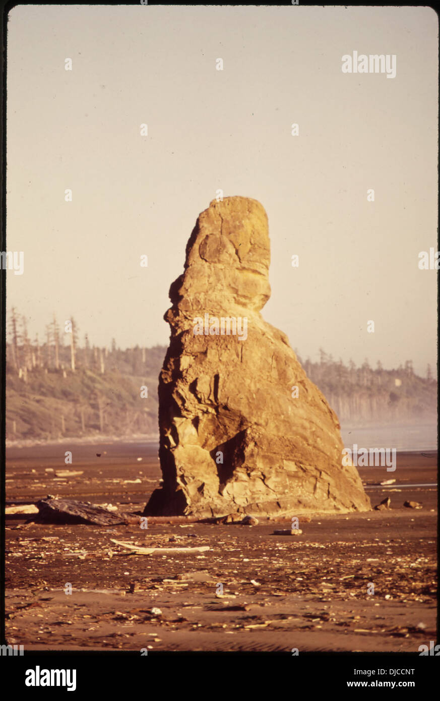 Quinault Beach, located in Washington state, is known for its scenic ...