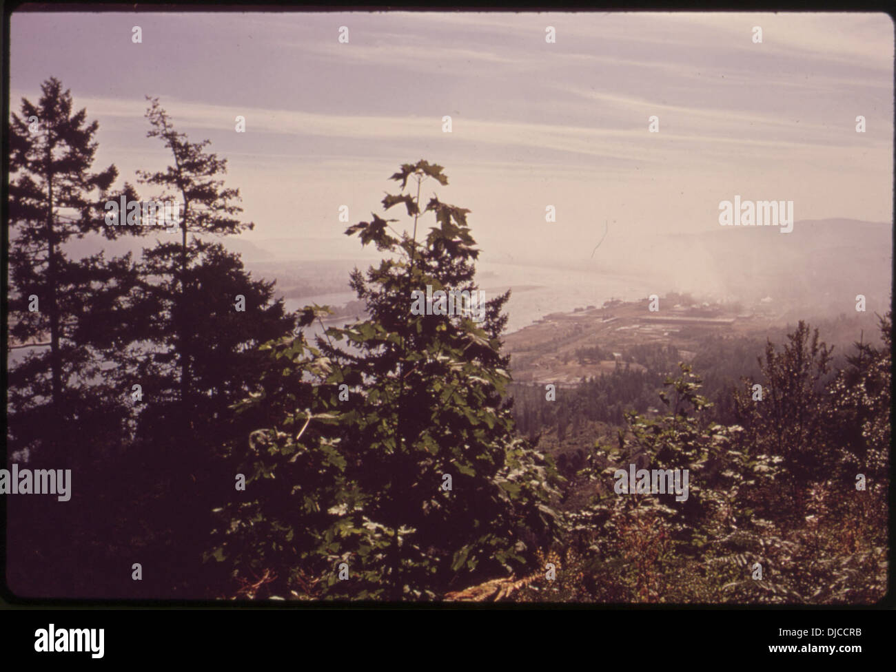 This image highlights the air pollution generated by a pulp mill ...