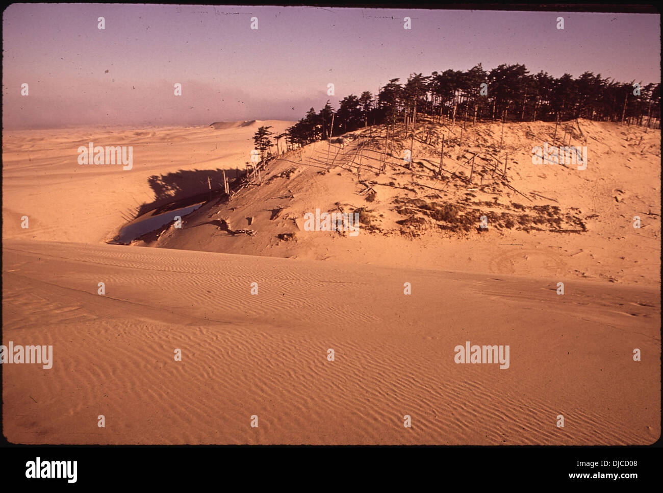 Coastal stabilization hi-res stock photography and images - Alamy