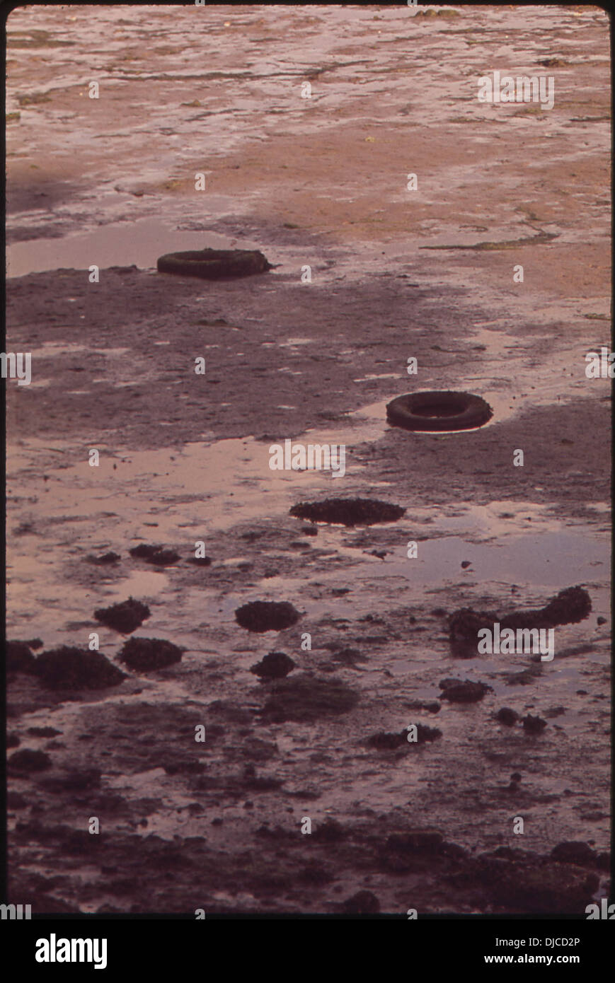 Freshwater body hi-res stock photography and images - Alamy