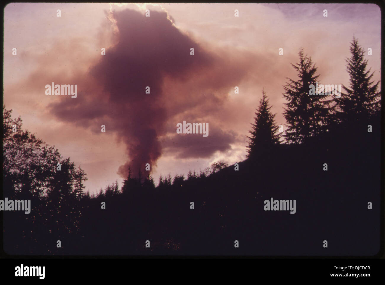 A smoke plume rises from a slash burn in timberland along the Nitinat ...