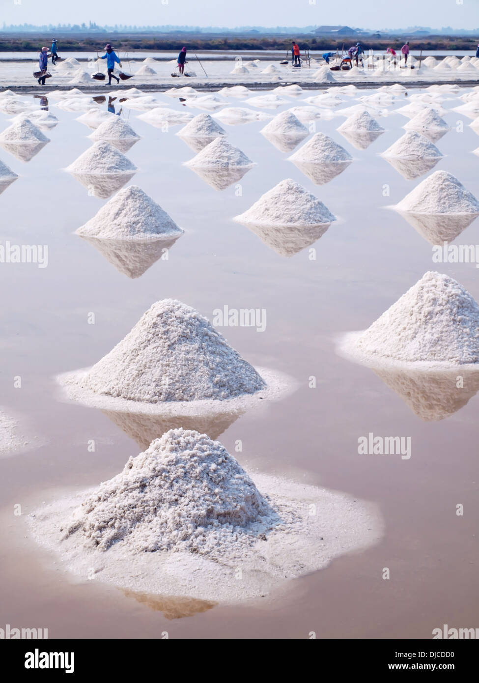 Raking Salt High Resolution Stock Photography and Images - Alamy