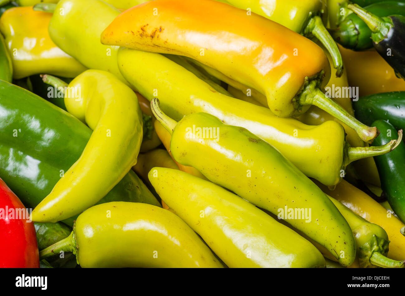 A bulk display of colorful hot peppers ready for use in the kitchen ...