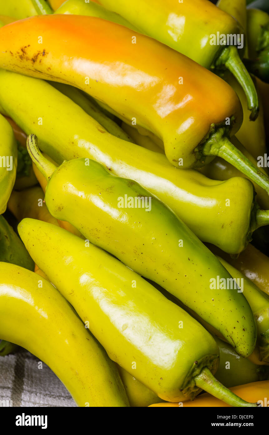 A bulk display of colorful hot peppers ready for use in the kitchen ...
