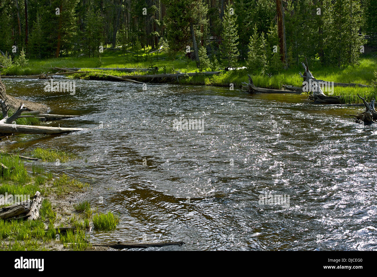 Small mountain river hi-res stock photography and images - Alamy