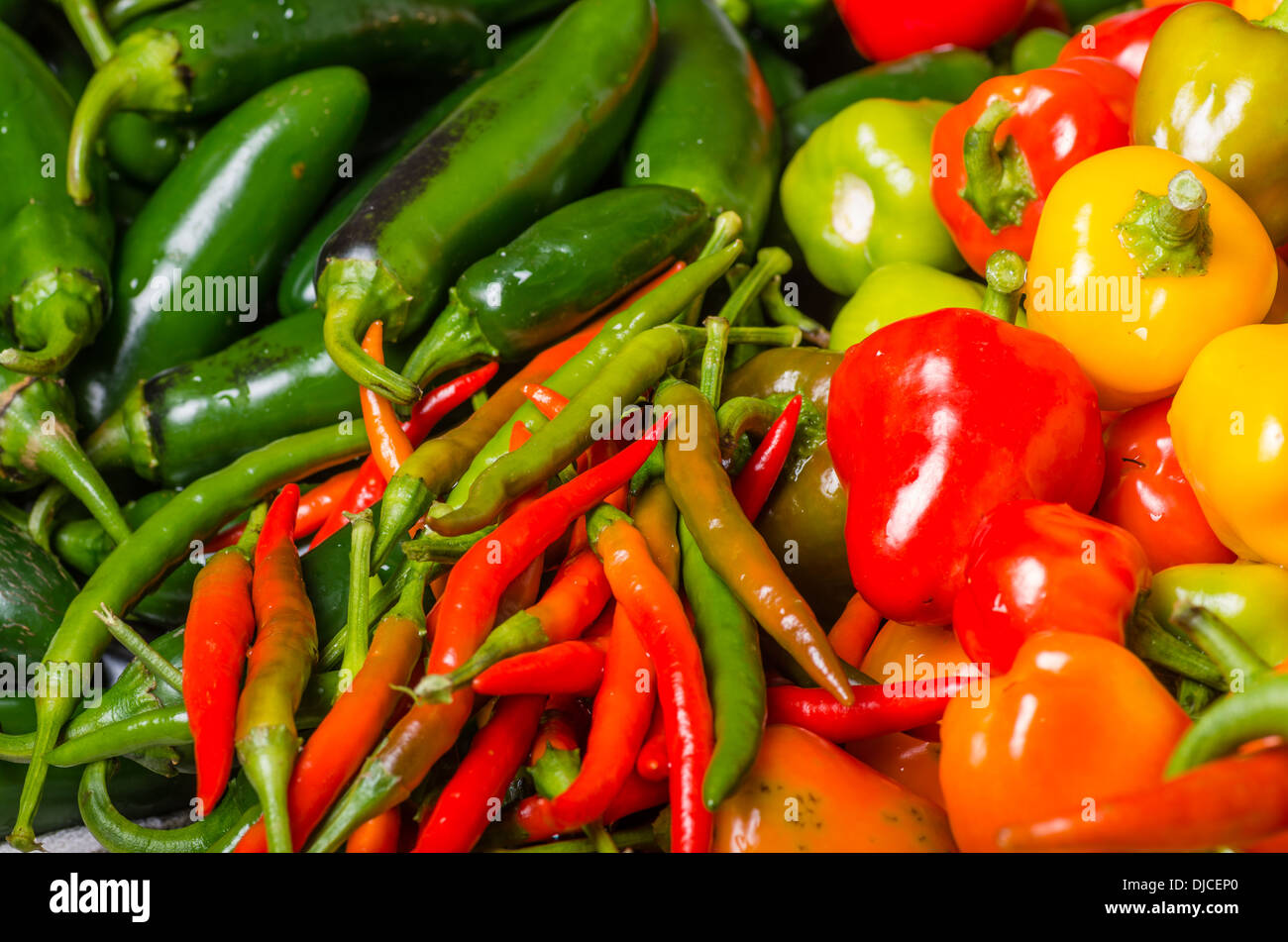 A bulk display of colorful hot peppers ready for use in the kitchen ...