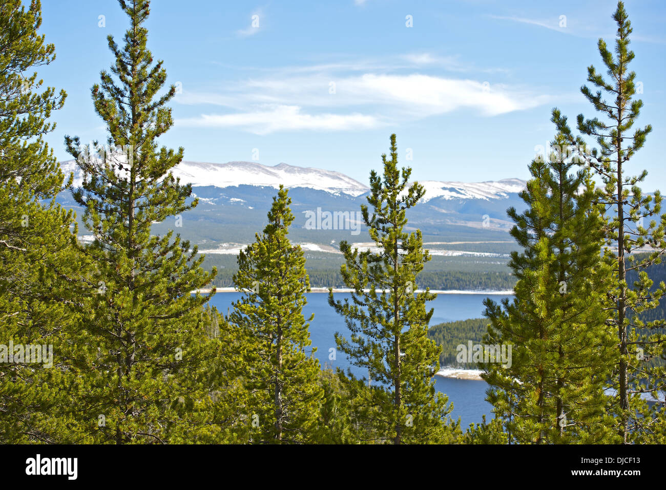 Colorado Forestry - Scenic Colorado Landscape Stock Photo - Alamy