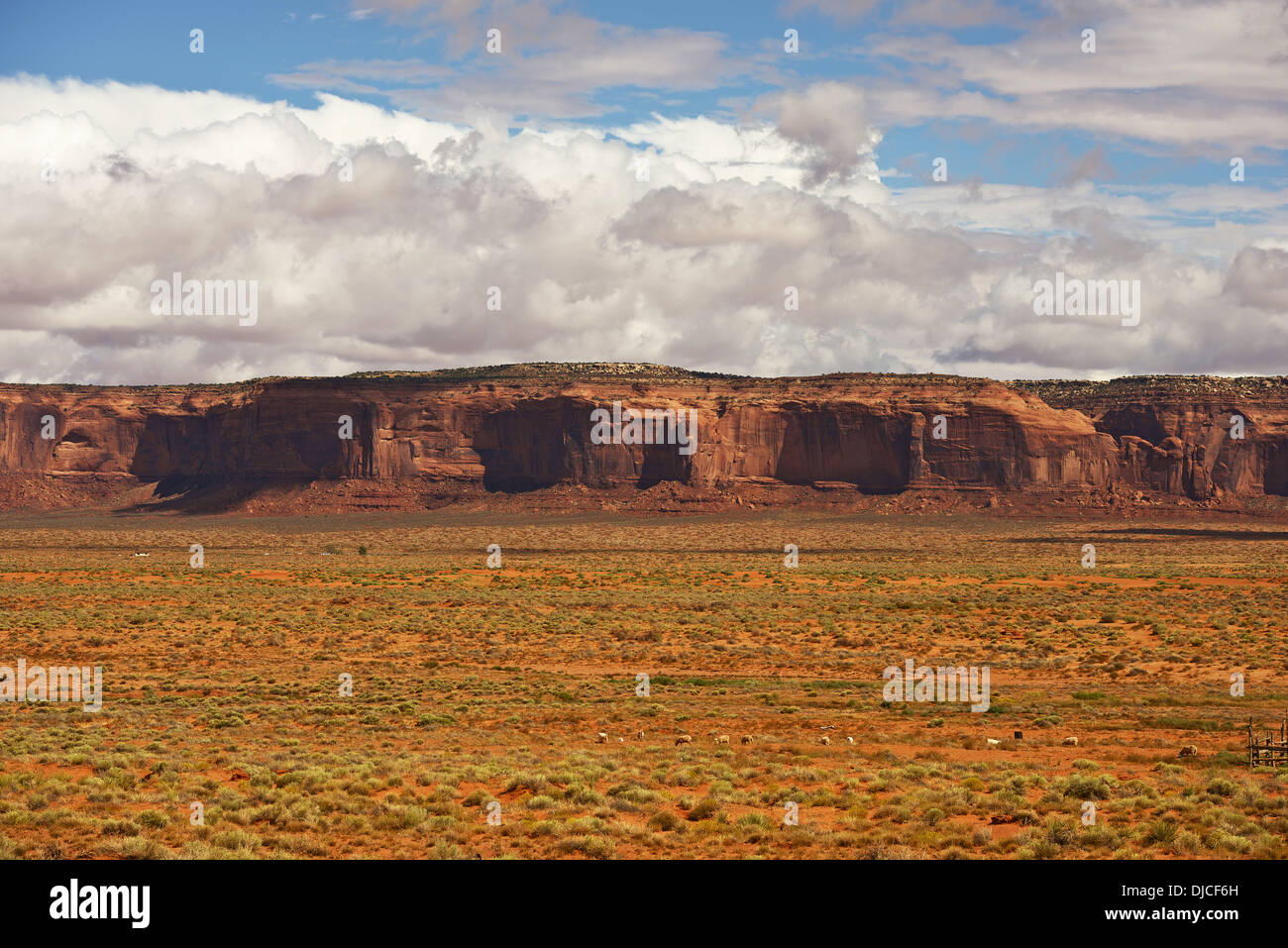 Arizona Raw Landscape. Northern Arizona - Navajo Nation Lands. Arizona ...