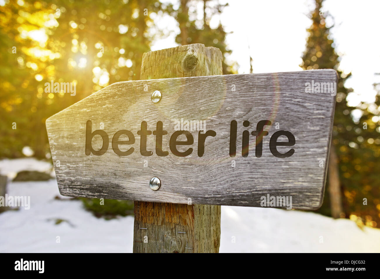Better Life Trail. Best Way to Better Life. Wood Mountain Sign Stock ...
