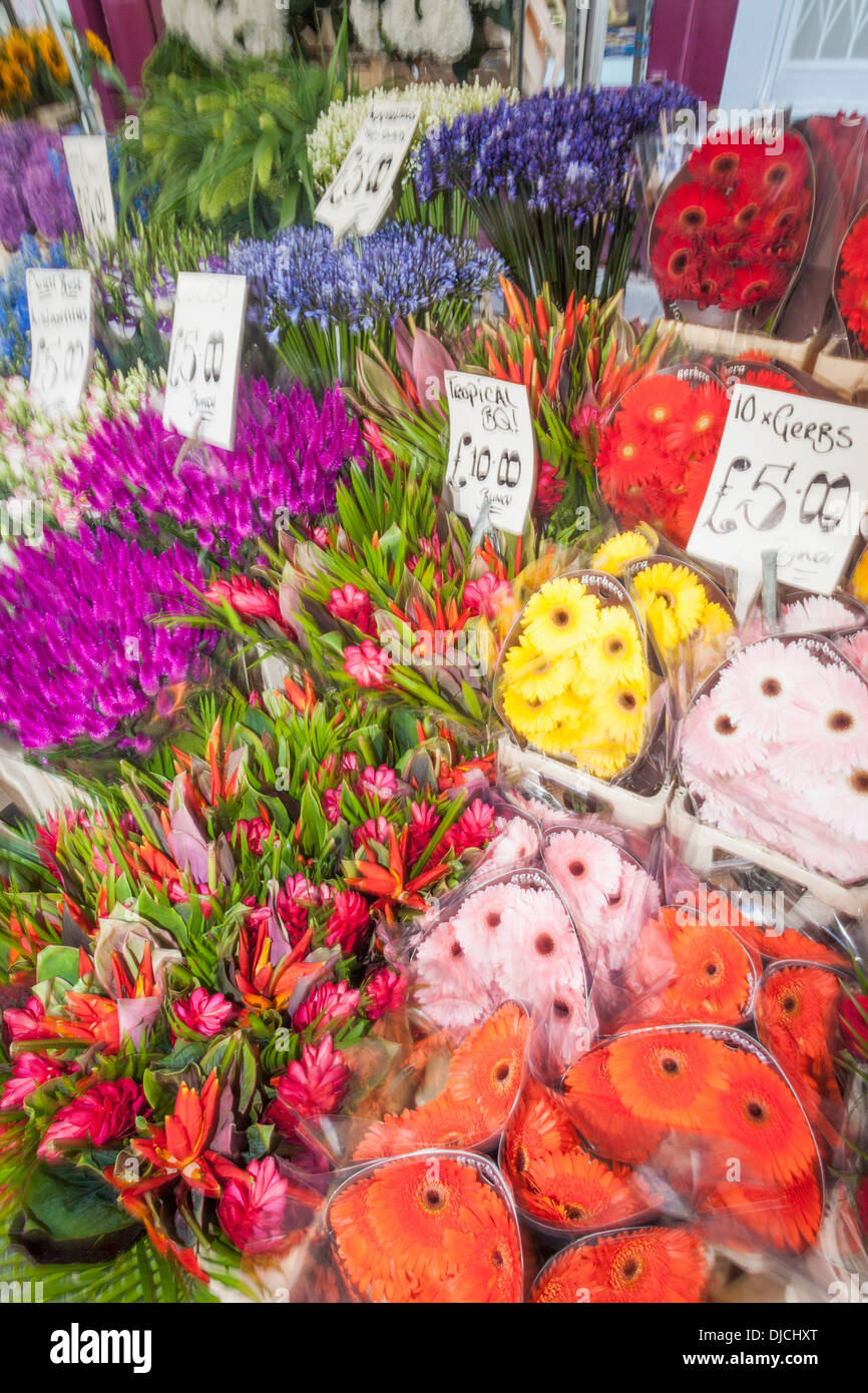 England, London, Columbia Road Flower Market, Flower Display Stock ...