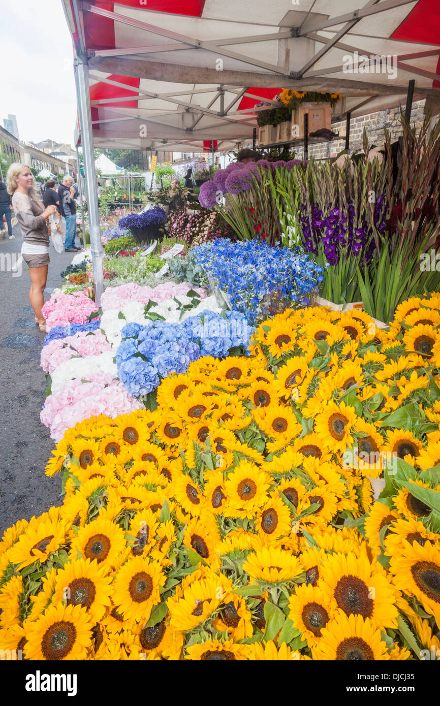 England, London, Columbia Road Flower Market, Flower Display Stock ...