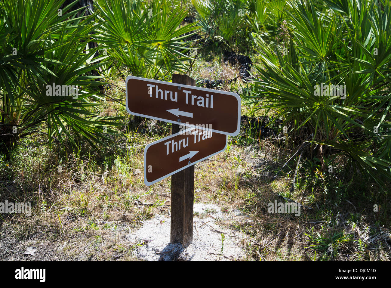 Tosohatchee hi-res stock photography and images - Alamy