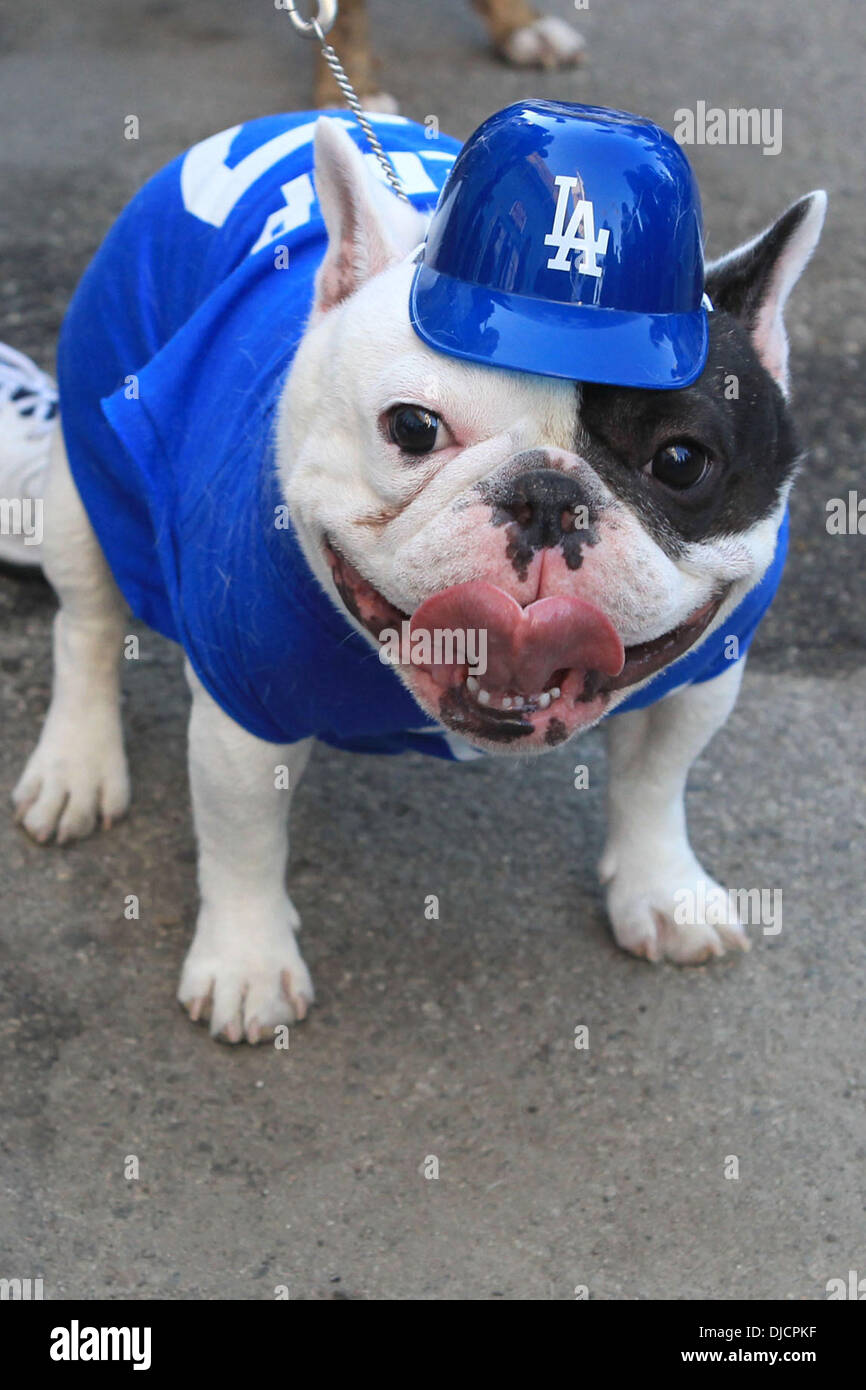 Contestant Dogs Bark in the Park held at Dodger Stadium Los Angeles ...