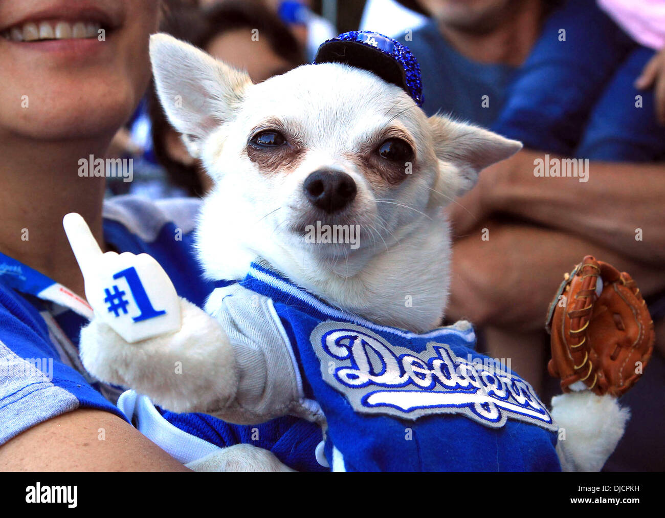 Contestant Dogs Bark in the Park held at Dodger Stadium Los Angeles ...