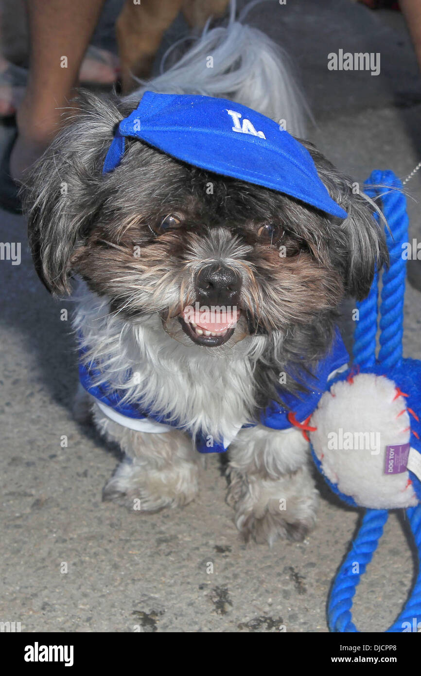 Contestant Dogs Bark in the Park held at Dodger Stadium Los Angeles ...