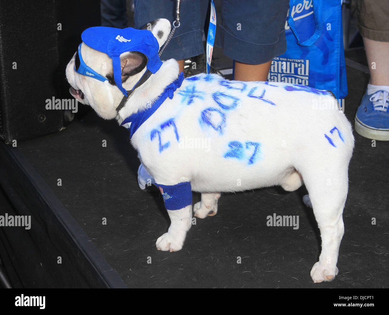 Contestant Dogs Bark in the Park held at Dodger Stadium Los Angeles ...