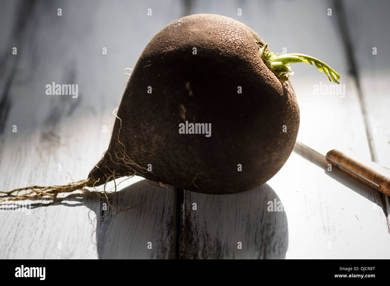 Black radish (Raphanus sativus) on wooden planks with knife, close-up ...