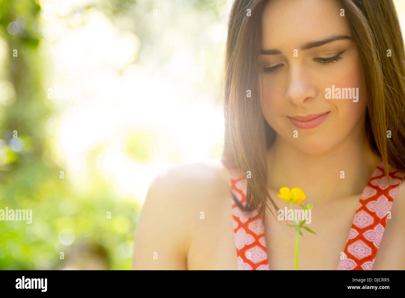 How looking this flower hi-res stock photography and images - Alamy