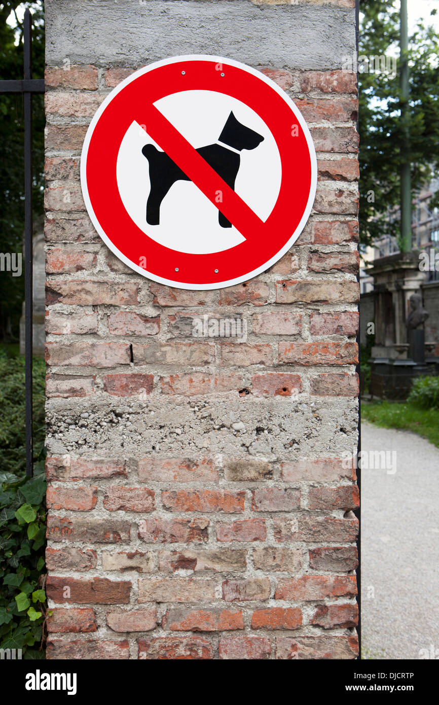 No dogs allowed sign Stock Photo - Alamy