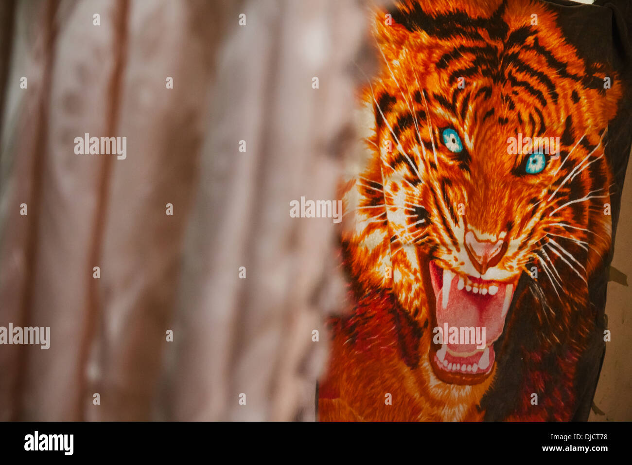 Quilt with tiger print covering the window of an old home in Las Raices ...