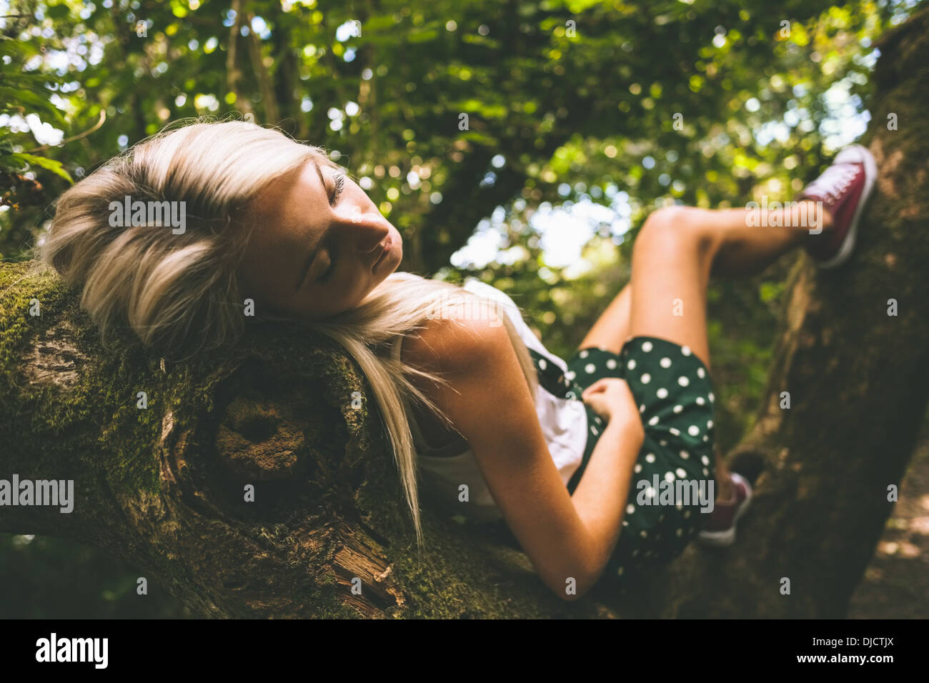 Lying on the tree hi-res stock photography and images - Alamy