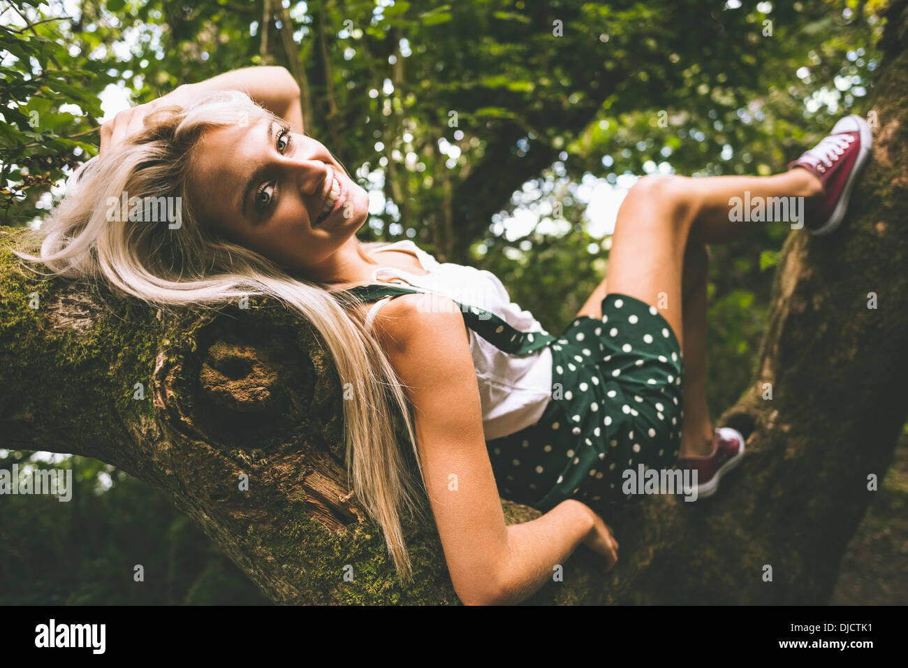 Lying on the tree hi-res stock photography and images - Alamy