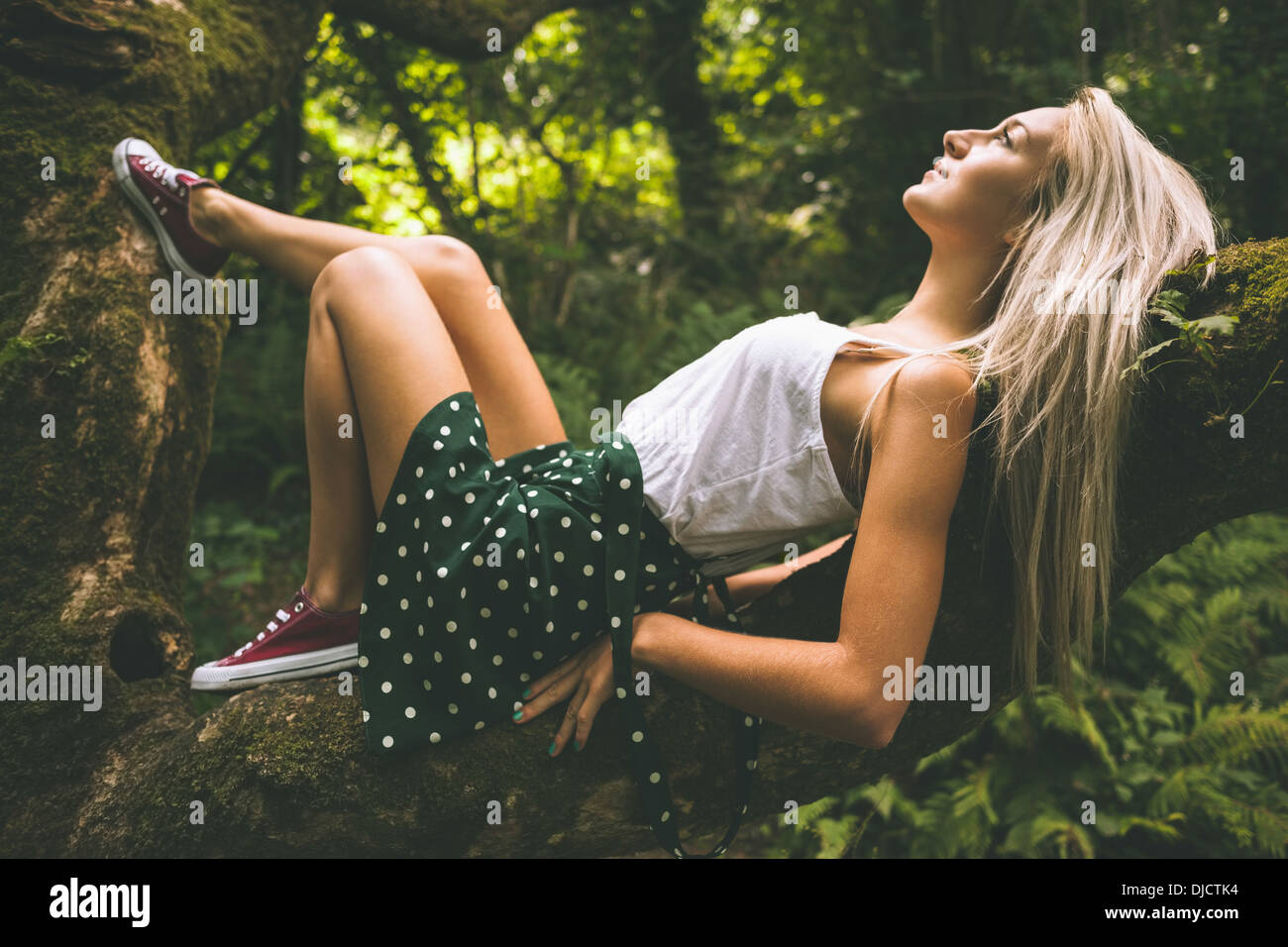 Lying on the tree hi-res stock photography and images - Alamy