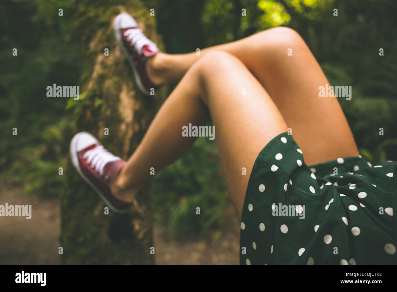 Tree trunk legs hi-res stock photography and images - Alamy