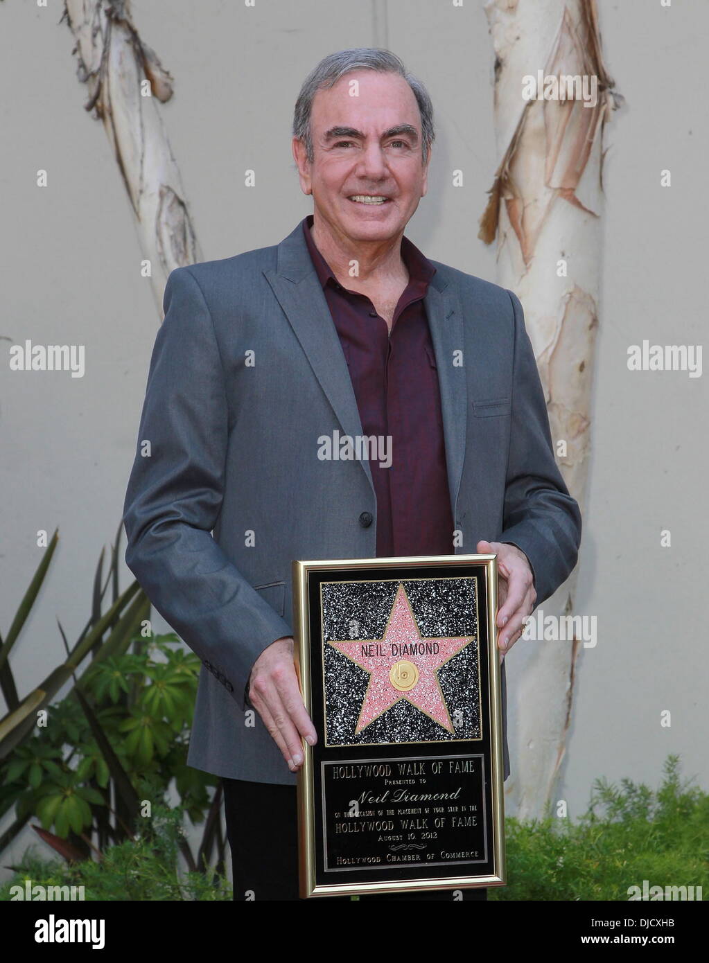 Neil Diamond is honoured with a star on the Hollywood Walk of Fame ...