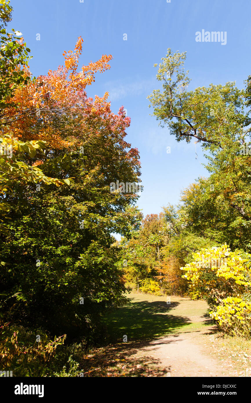 Central Park in Fall or Autumn, Manhattan, New York City, United States ...