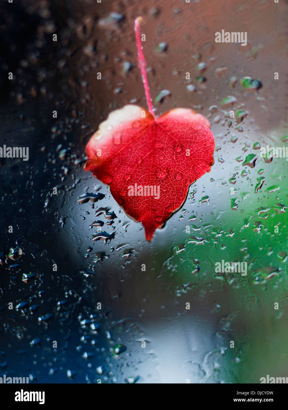 Heart Raindrop