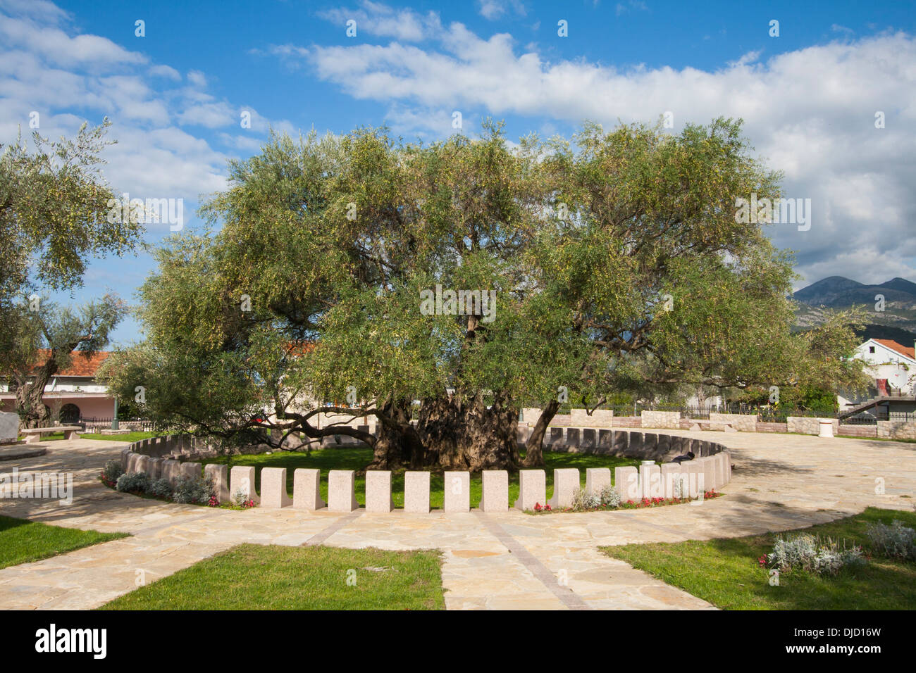 Tree to bar hi-res stock photography and images - Alamy
