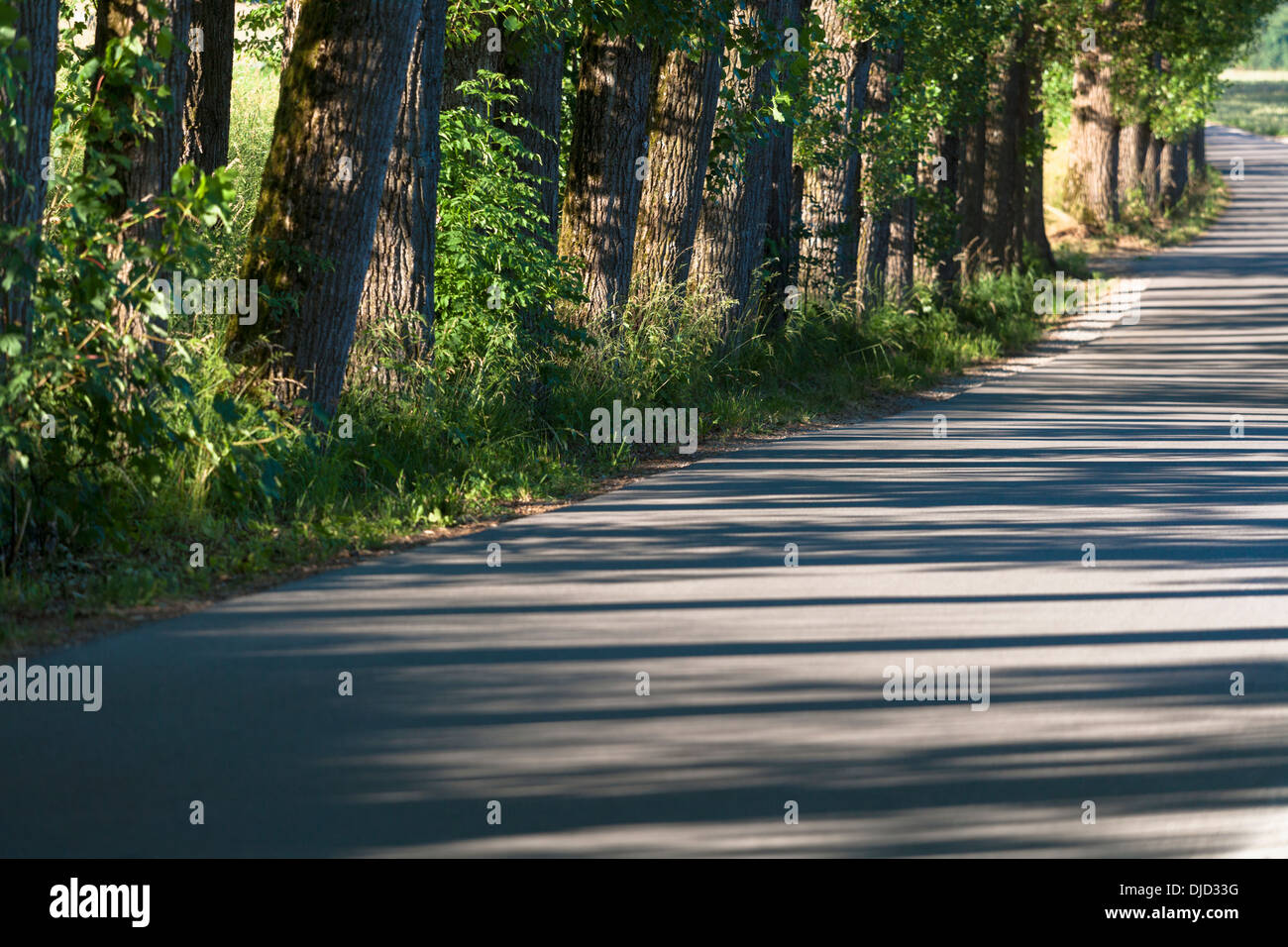 Dorfen hi-res stock photography and images - Alamy